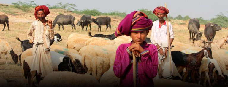 Bhils Tribal Community - The Brave Bowman of India