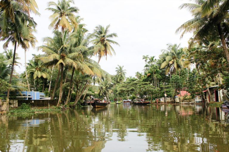 Onam Festival - Complete Kerala Onam Festival Guide
